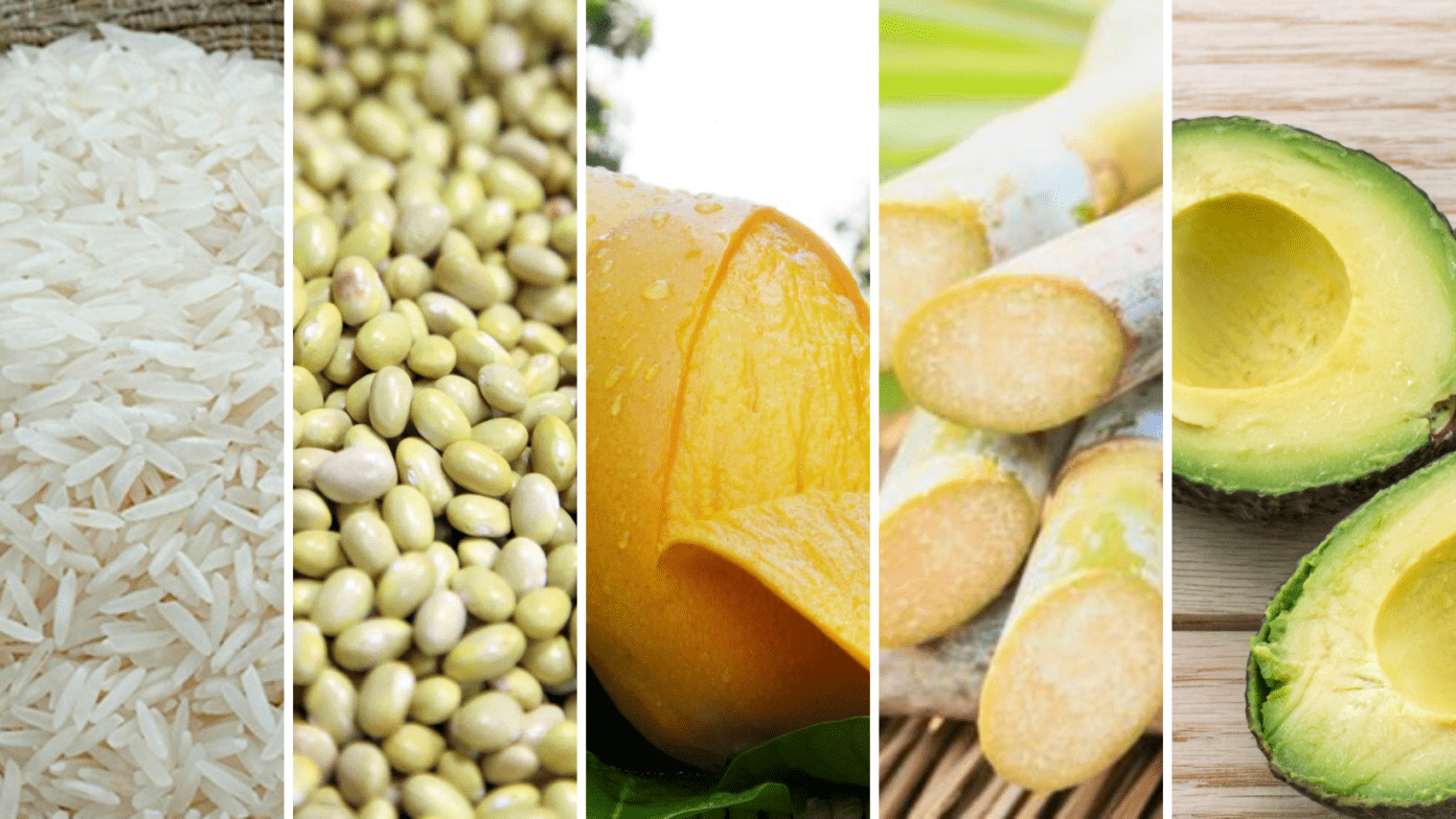 La agricultura da la cara por Nayarit | Meridiano.mx