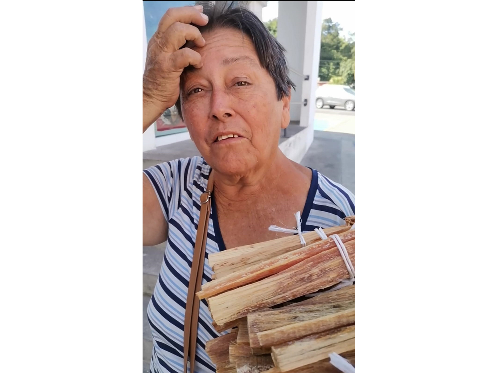 Recorre la ciudad ofreciendo ocote | Meridiano.mx