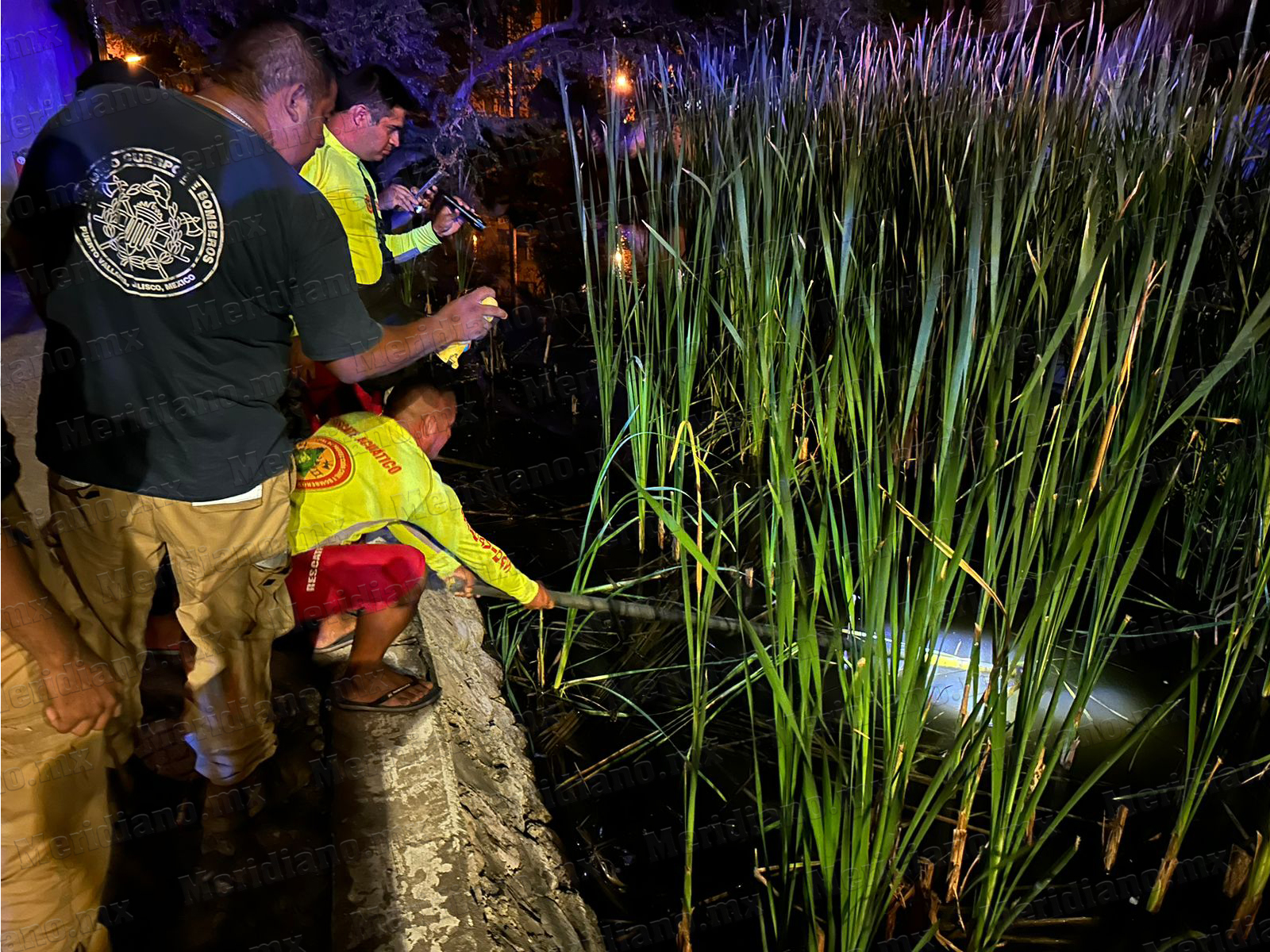 Encuentran cadáver en el canal de Los Tules | Meridiano.mx