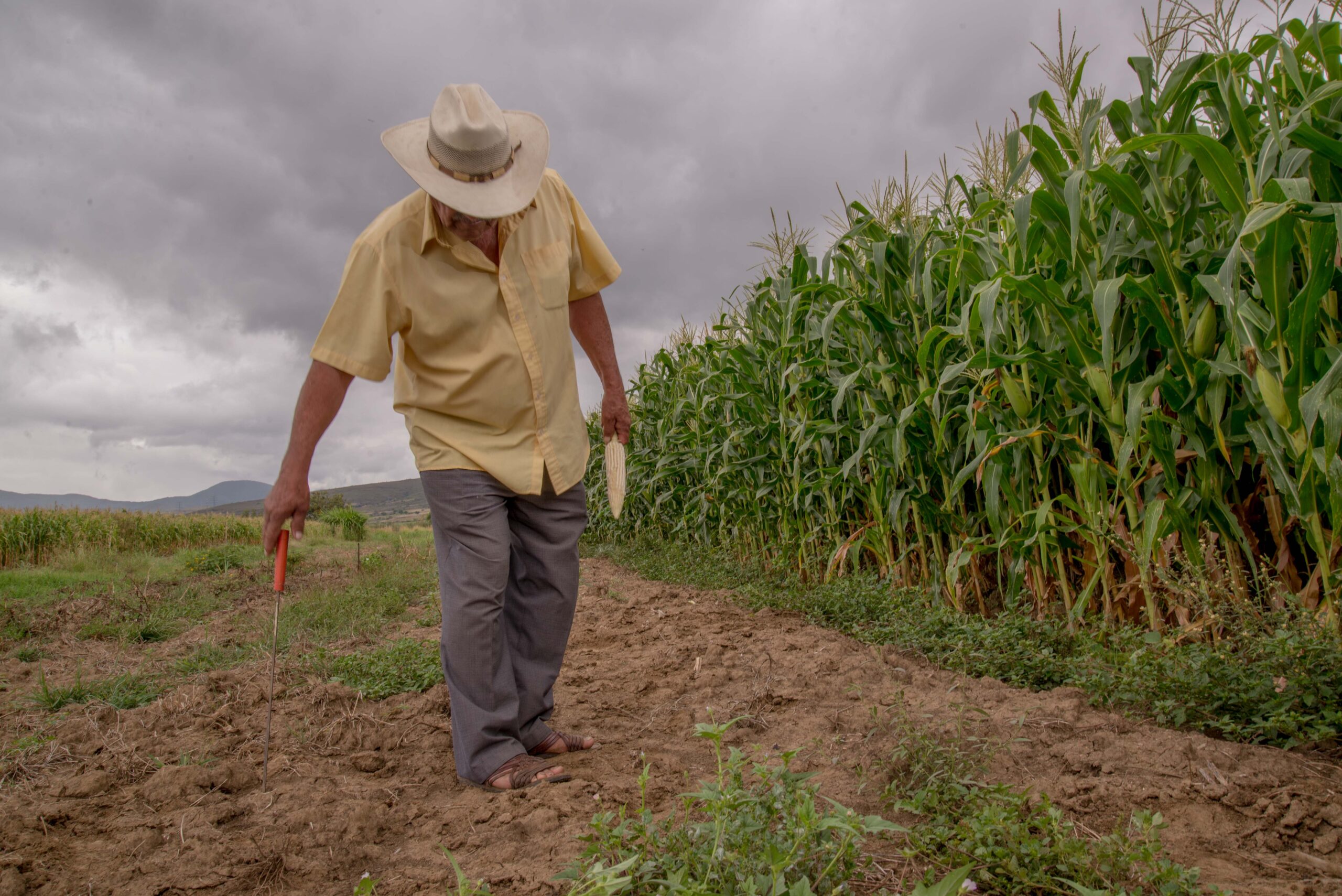 Crece sector primario en México en producción y exportaciones ...