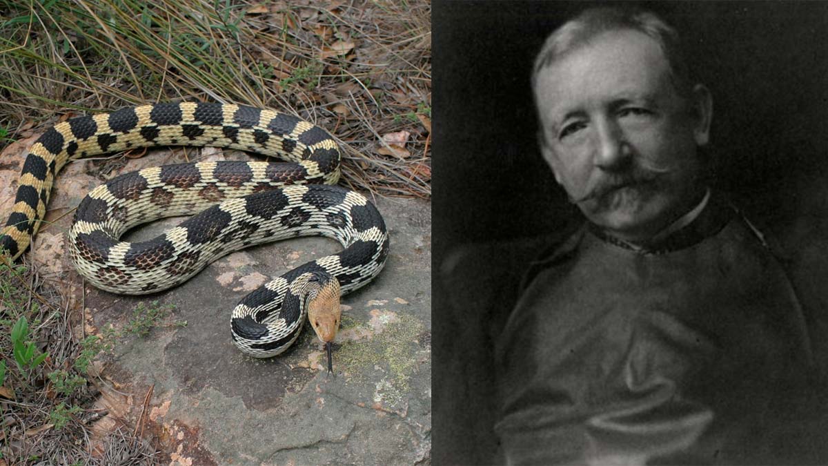 Tepic en el mapa de la ciencia en 1894 y 1895 | Meridiano.mx