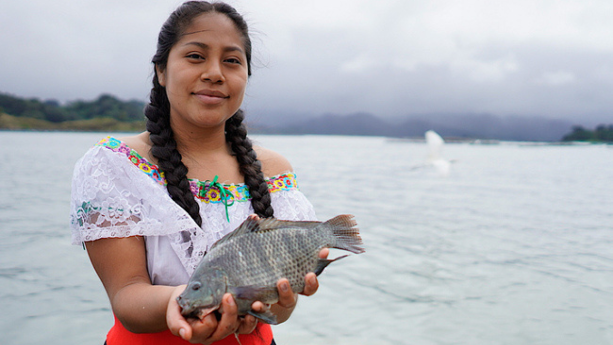 Concluye Conapesca año con avances en pesca sostenible | Meridiano.mx