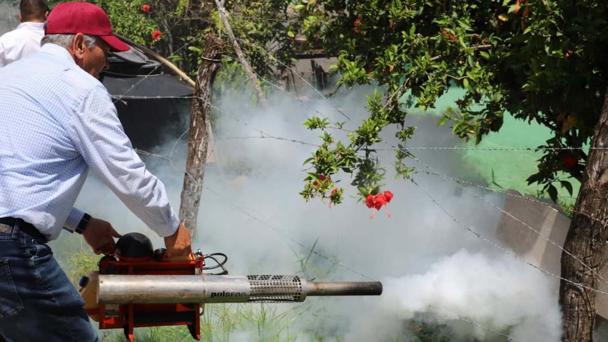 Acumula Nayarit 72 casos de dengue durante el año | Meridiano.mx