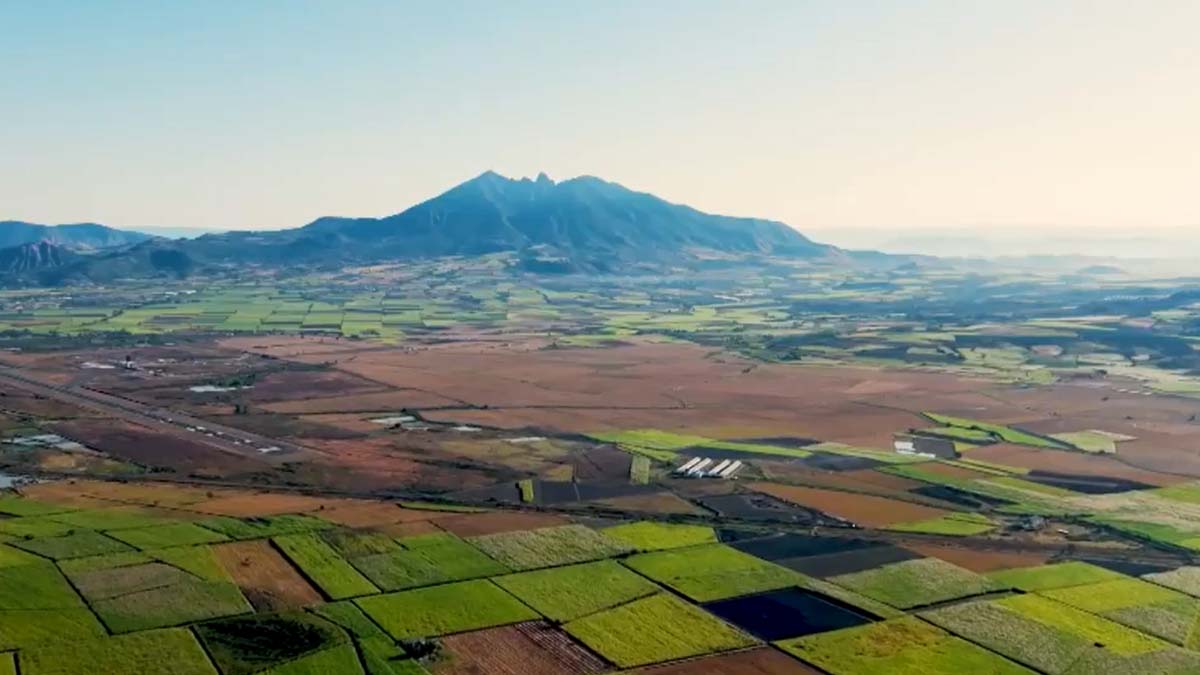 Arroz y frijol, apuesta de Nayarit | Meridiano.mx